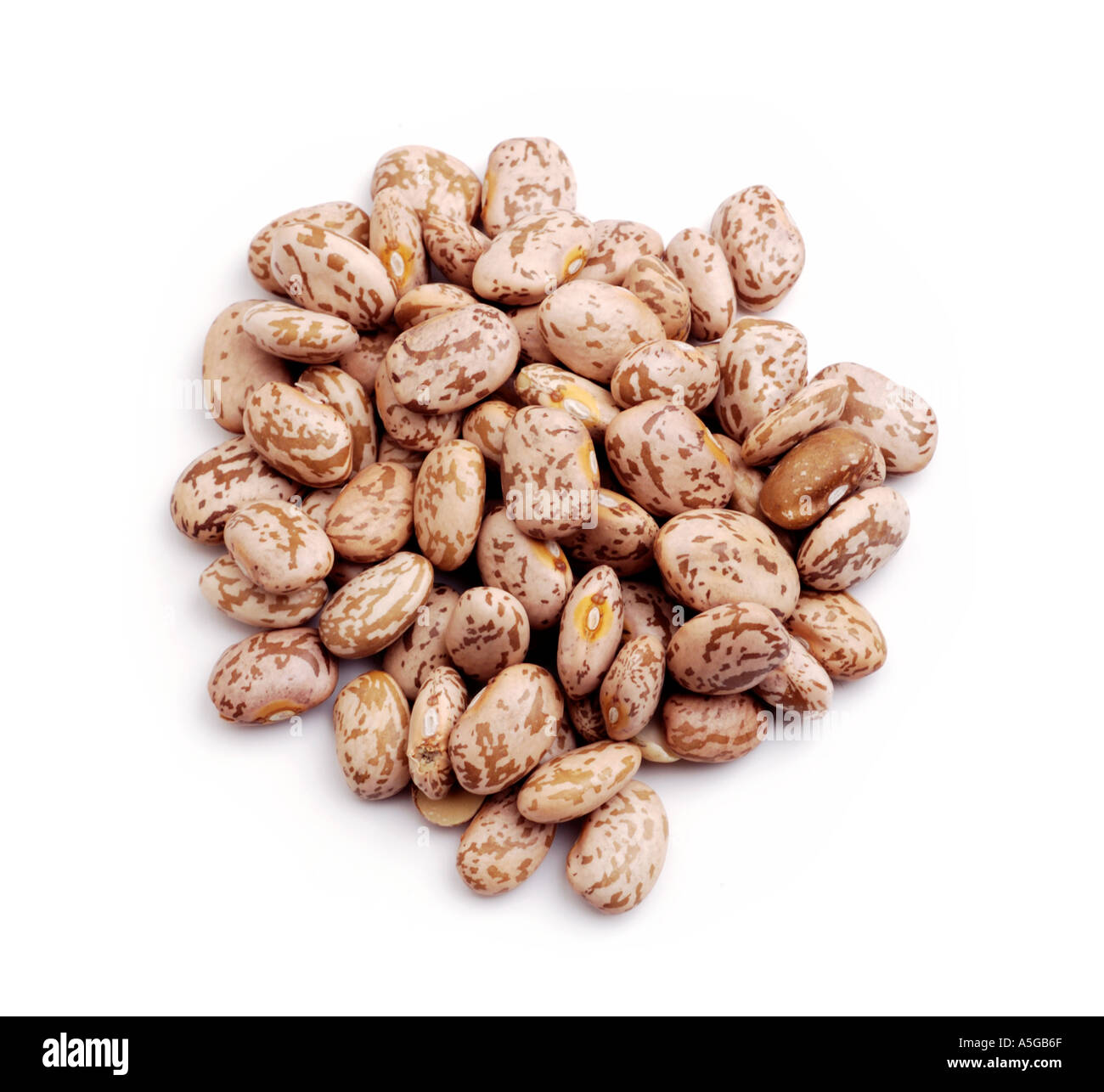 pile of pinto beans Stock Photo - Alamy