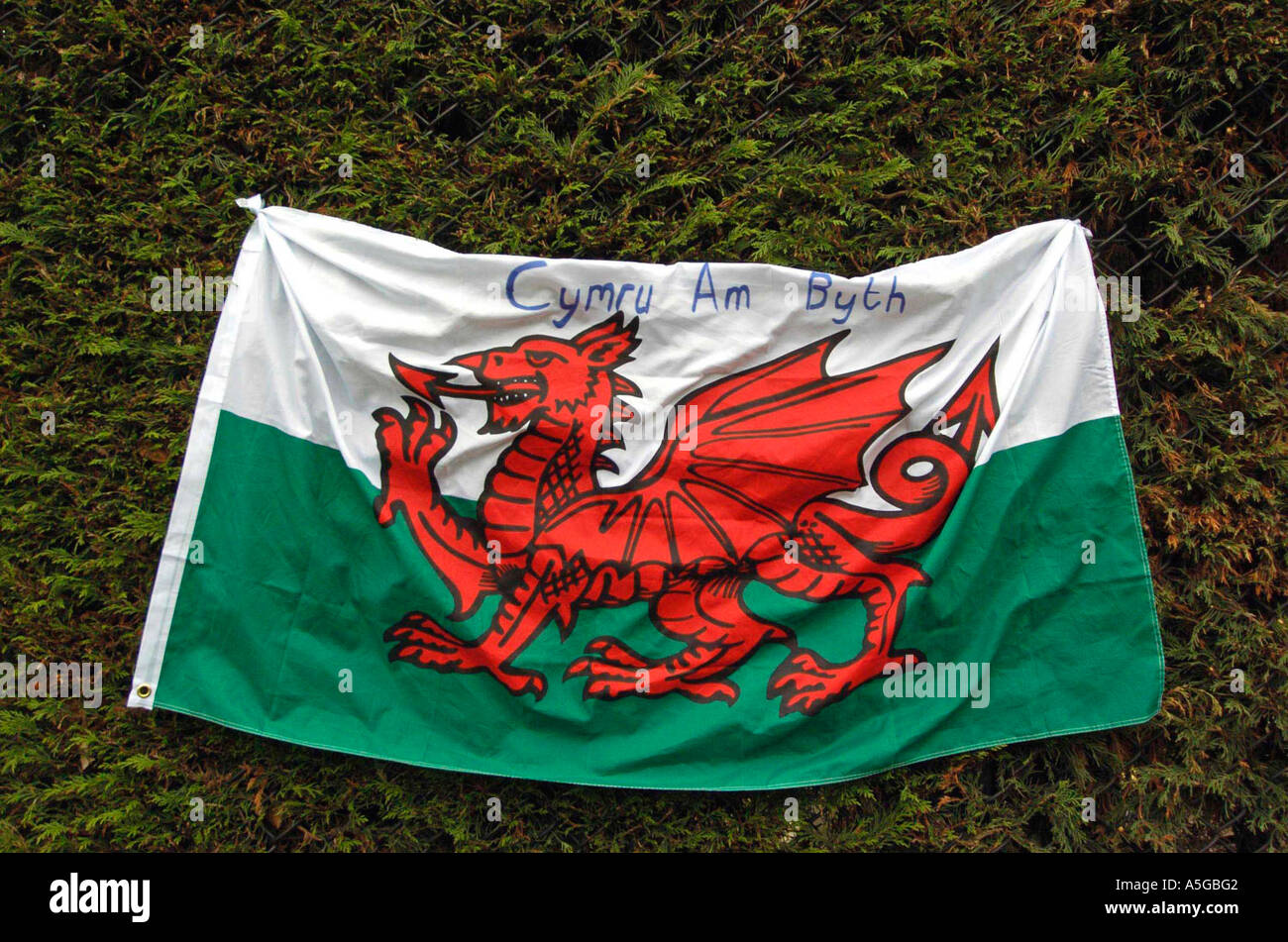 Welsh national flag with "WALES FOR EVER" written in Welsh over the top ...