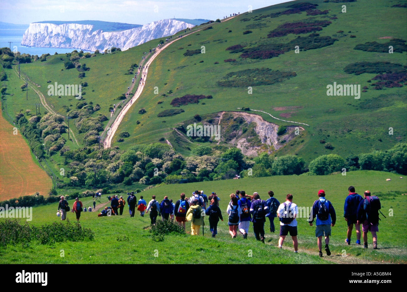 Walk the Wight Brighstone Down Isle of Wight England UK Great Britain ...