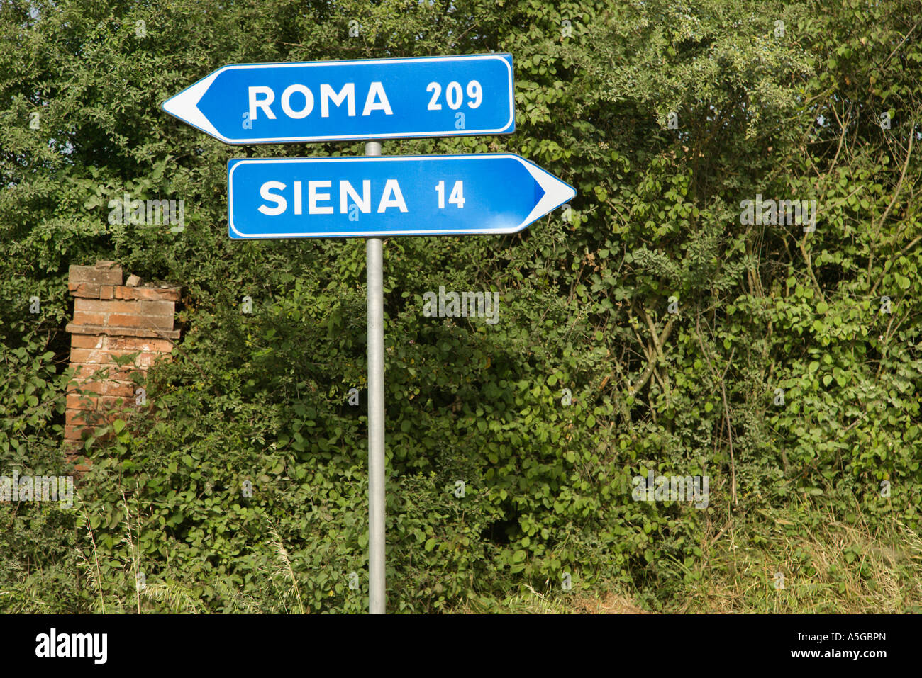 Italian street signs with overgrown vegetation pointing to Rome and ...