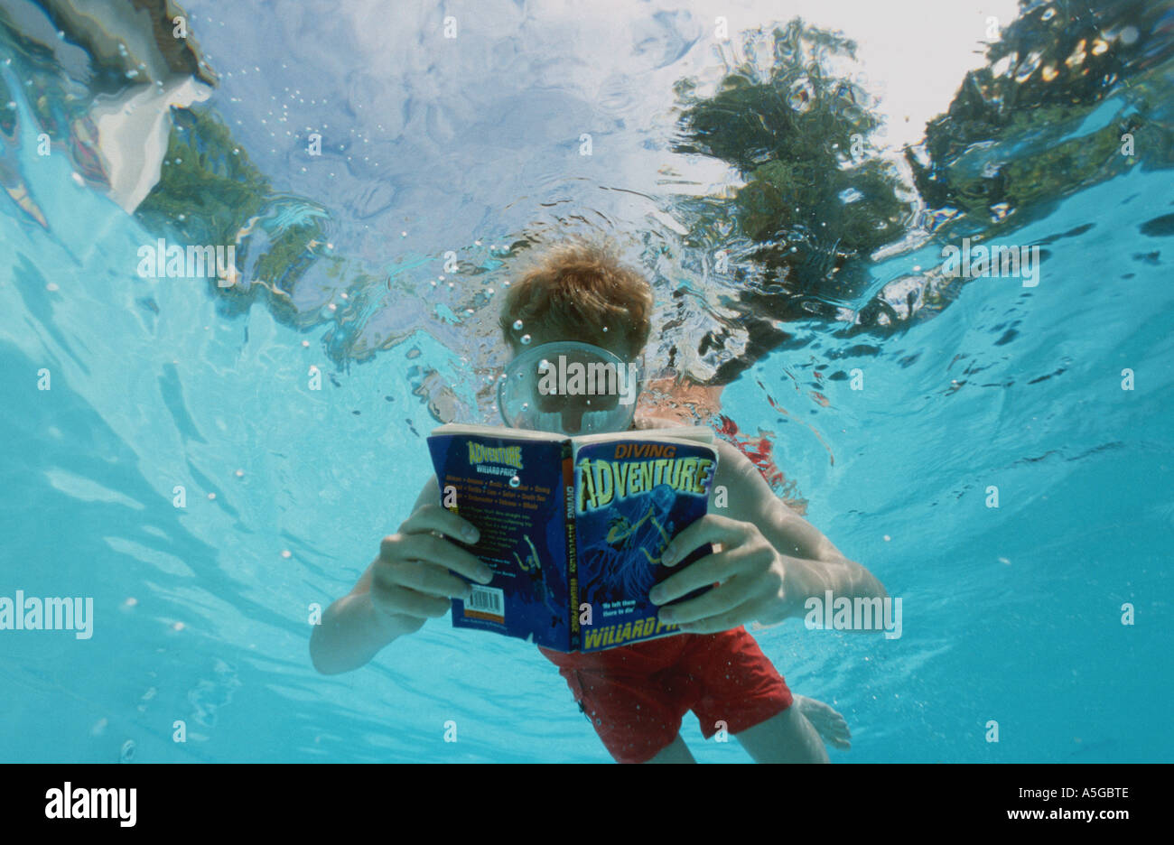 Reading Underwater High Resolution Stock Photography and Images - Alamy