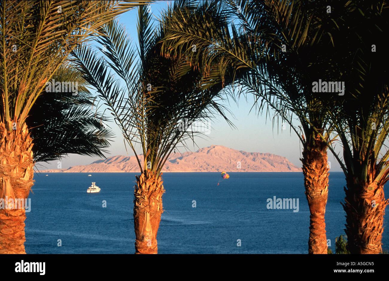 View from Sharm el Sheikh through palm trees to Tiran Island Straits of ...