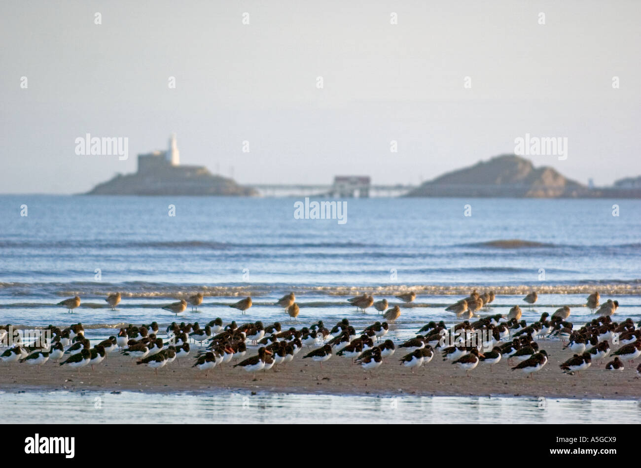 Lif eboat hi-res stock photography and images - Alamy