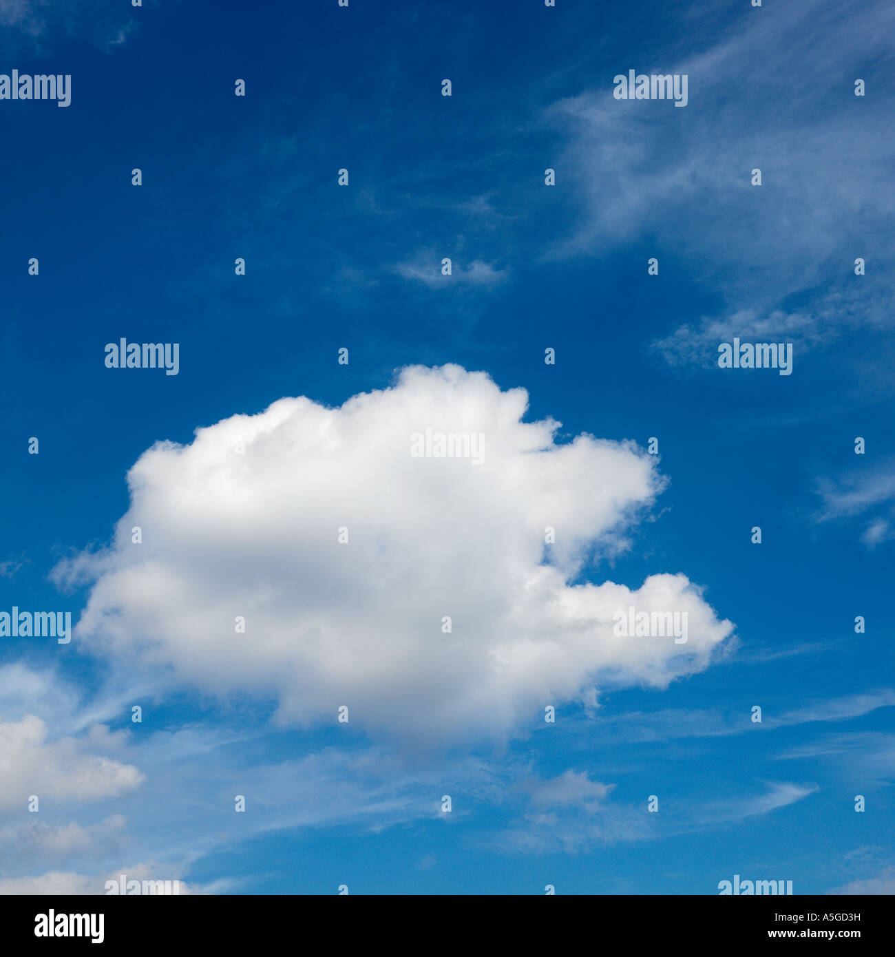 White puffy cumulus cloud in blue sky Stock Photo - Alamy
