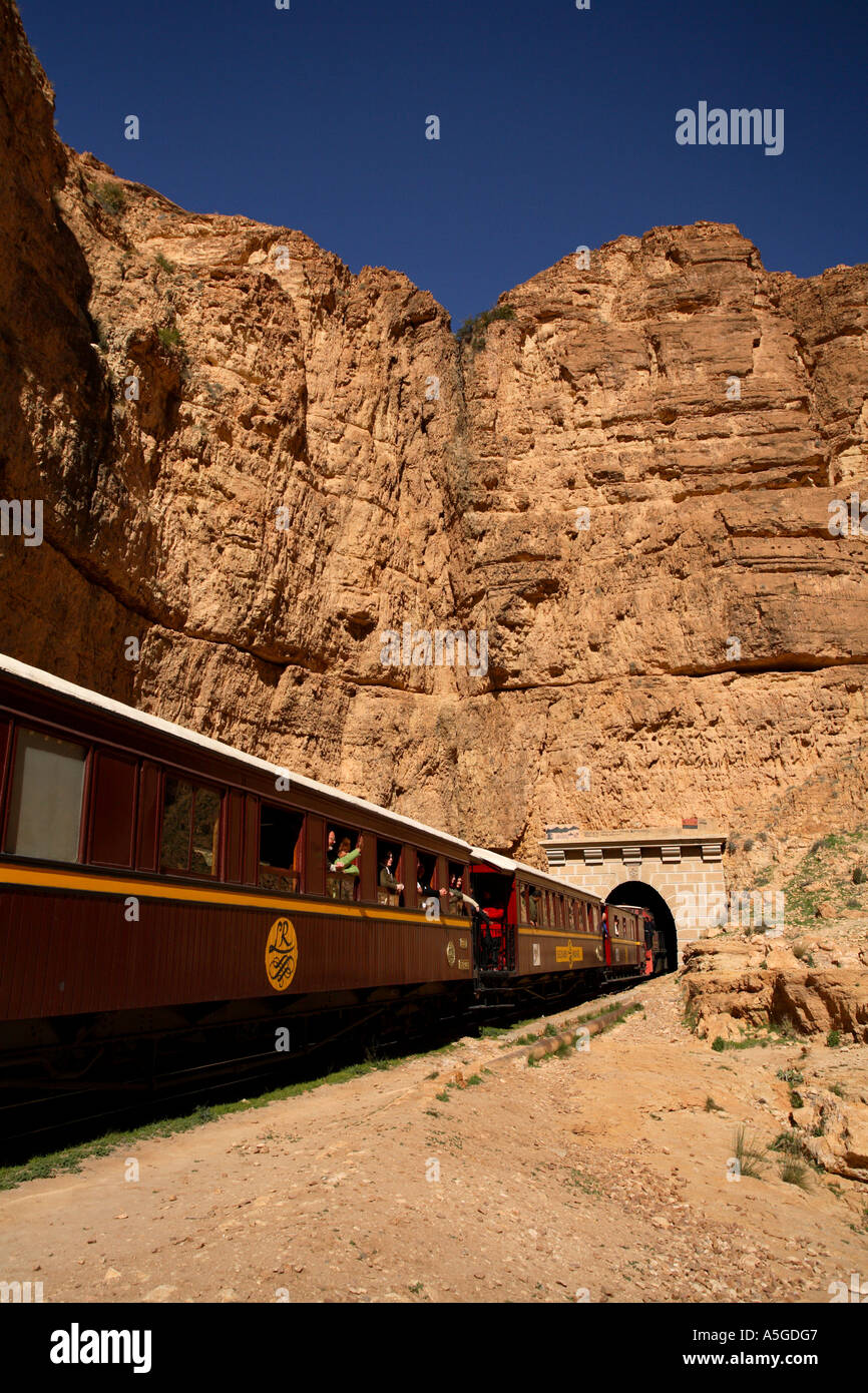 Vertical landscape detail of Red Lizard train by tunnel in Selja gorge ...