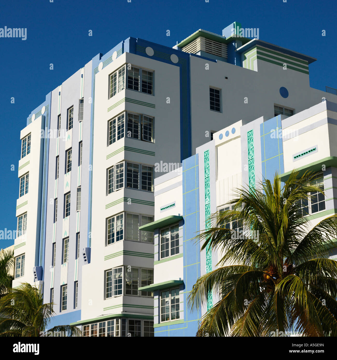Palm trees and buildings in art deco district of Miami Florida USA ...