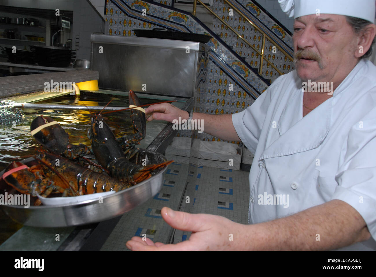 Head chef nets two live lobsters from the fish tank for a lobster ...