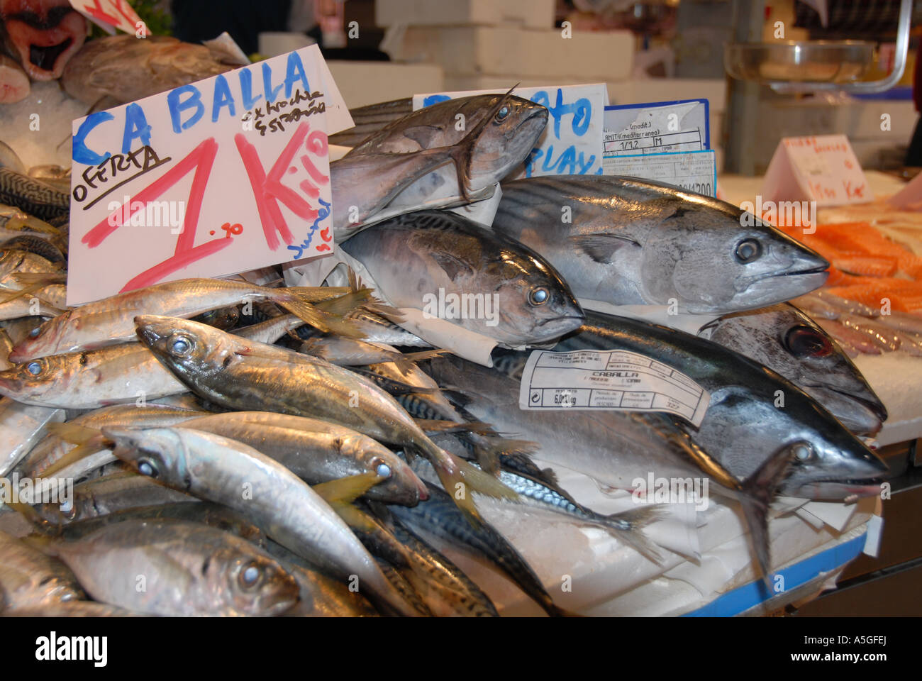 Freshly caught fish on sale the Mercado Central market in Valencia ...