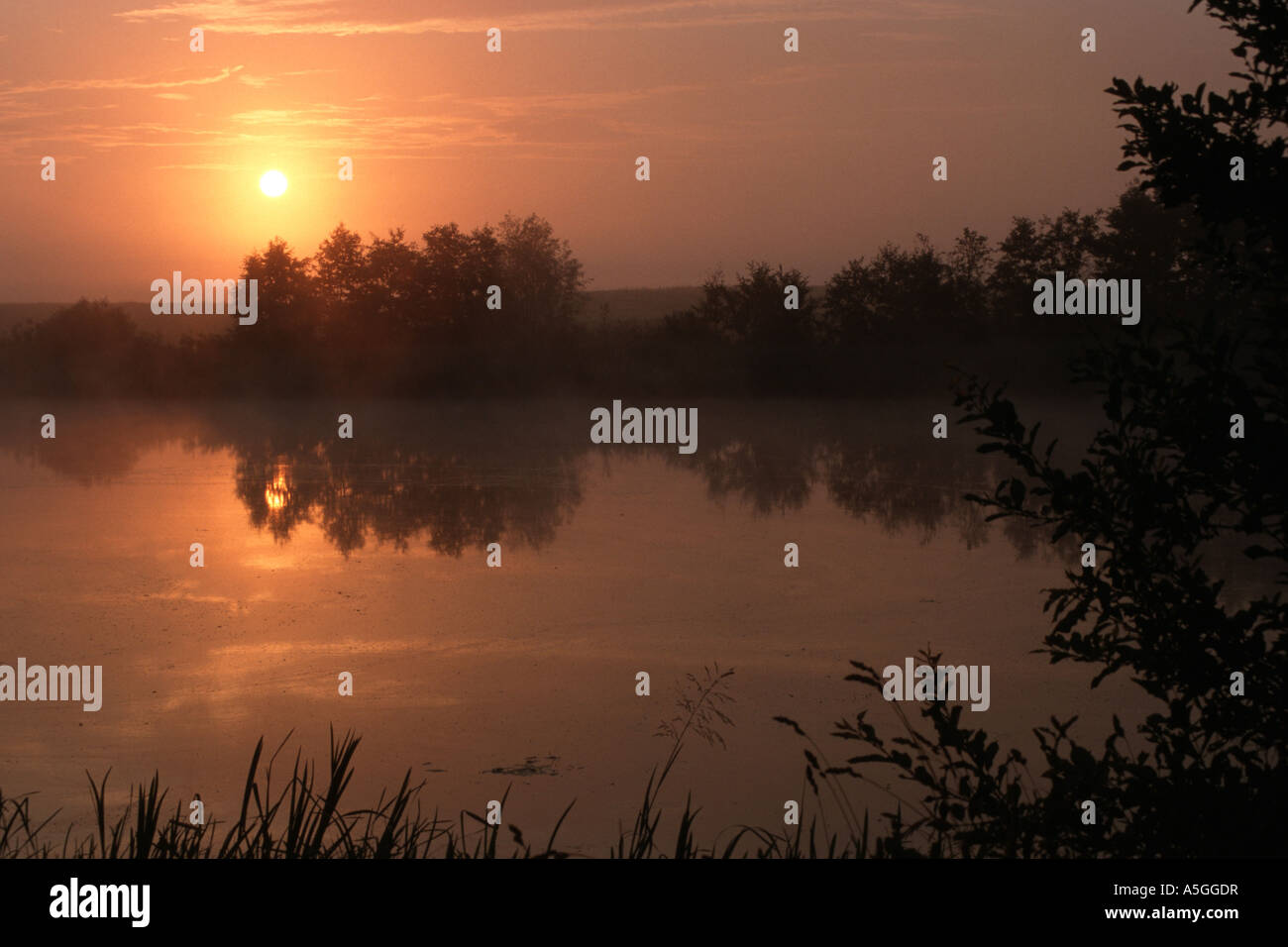 Krekenava hi-res stock photography and images - Alamy