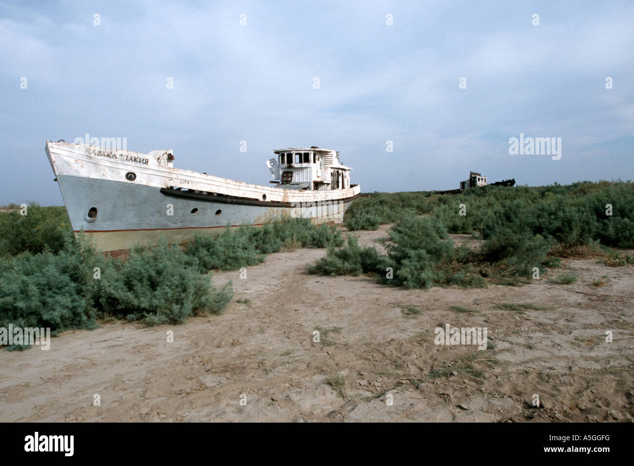 Aralkum hi-res stock photography and images - Alamy