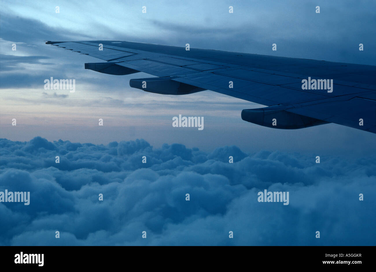 Truncated wings hi-res stock photography and images - Alamy