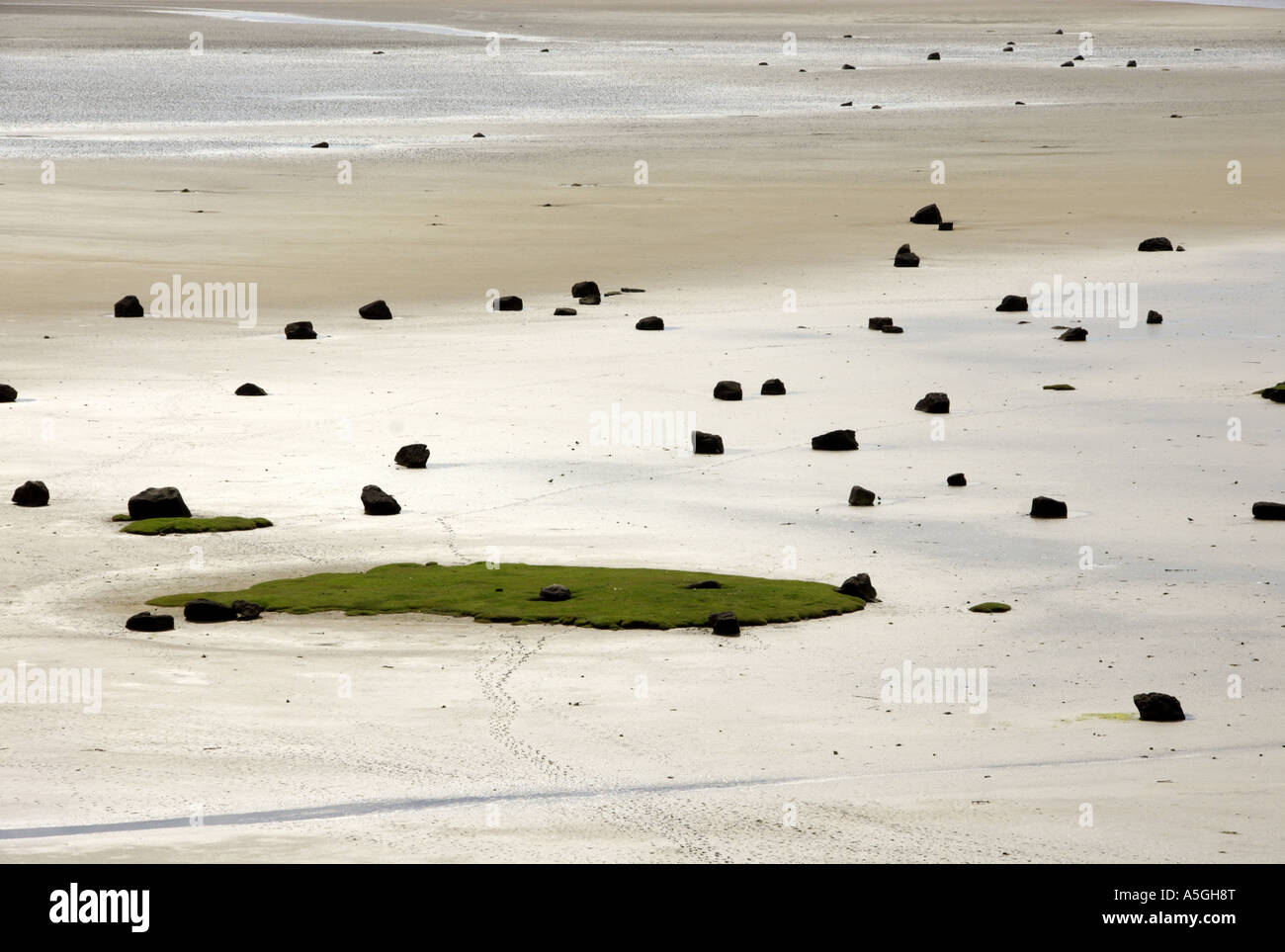 sandy beach with basalt stones, Iceland Stock Photo - Alamy