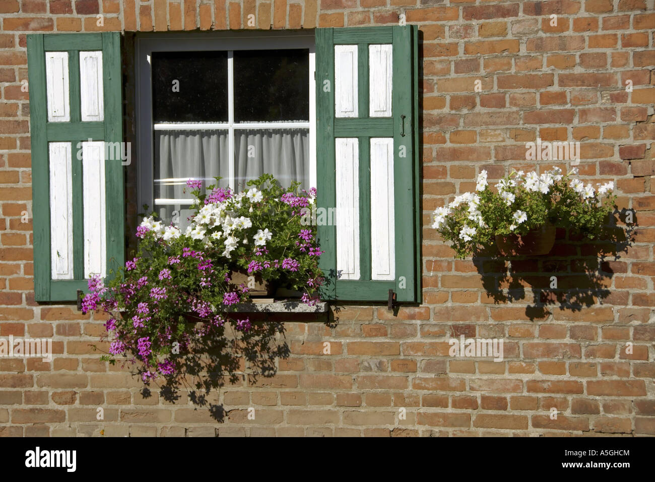 farmhouse window and blooming ornamental plants, Germany, Ruehstaedt ...