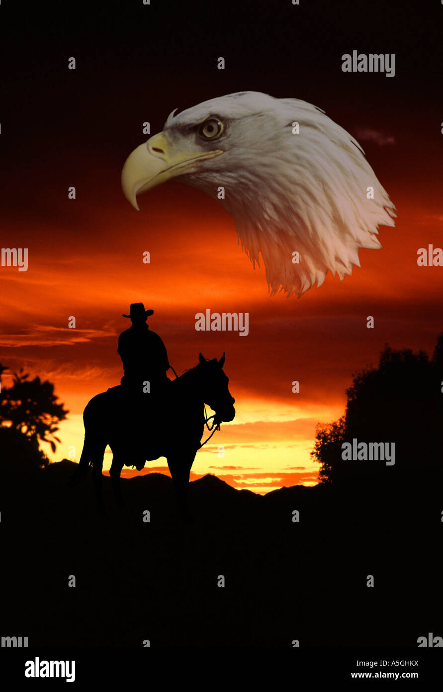 American bald eagle (Haliaeetus leucocephalus), lonesome Cowboy Stock ...