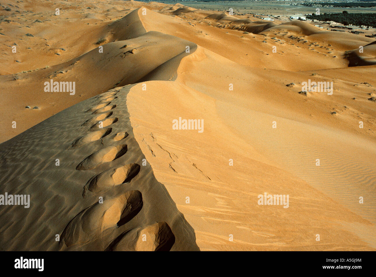 Sand-dunes in the desert of Oman, Oman Stock Photo - Alamy