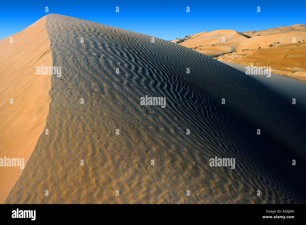 Sand-dunes in the desert of Oman, Oman Stock Photo - Alamy