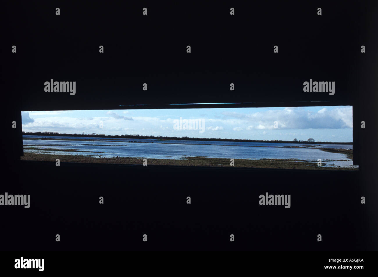 Birds watching hideout hi-res stock photography and images - Alamy