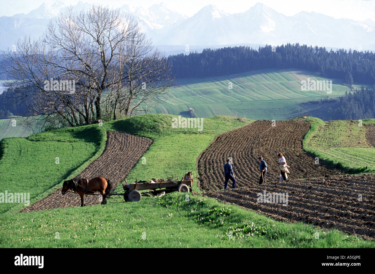 Podhale region hi-res stock photography and images - Alamy