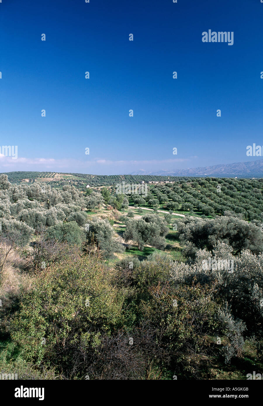 Crete, Island Interior Stock Photo - Alamy