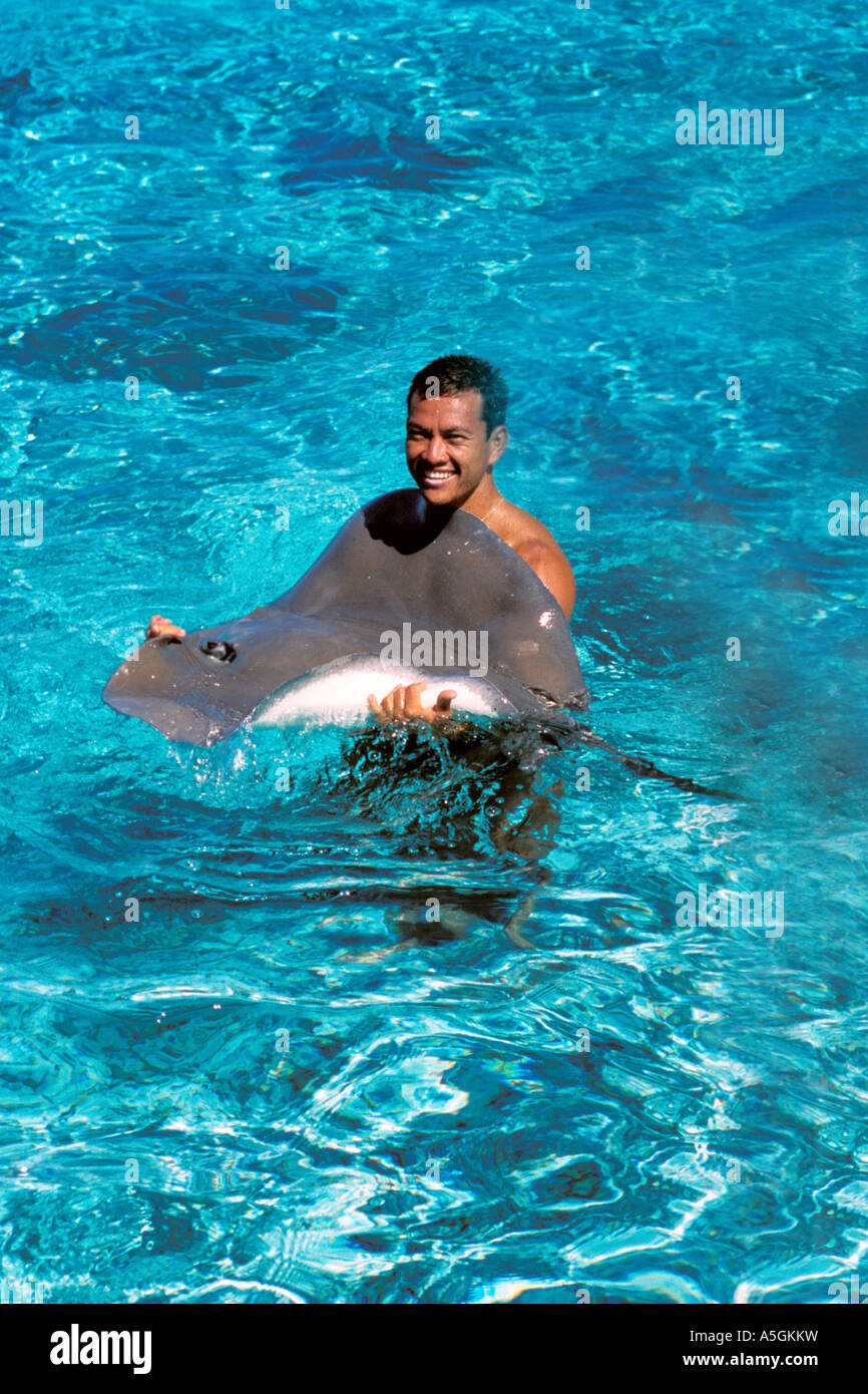 stingrays (butterfly rays) (Dasyatidae), Polynesian feeding a stingray ...