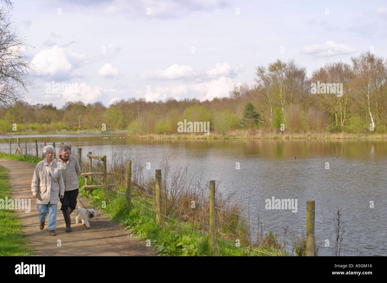 Lindow common hi-res stock photography and images - Alamy