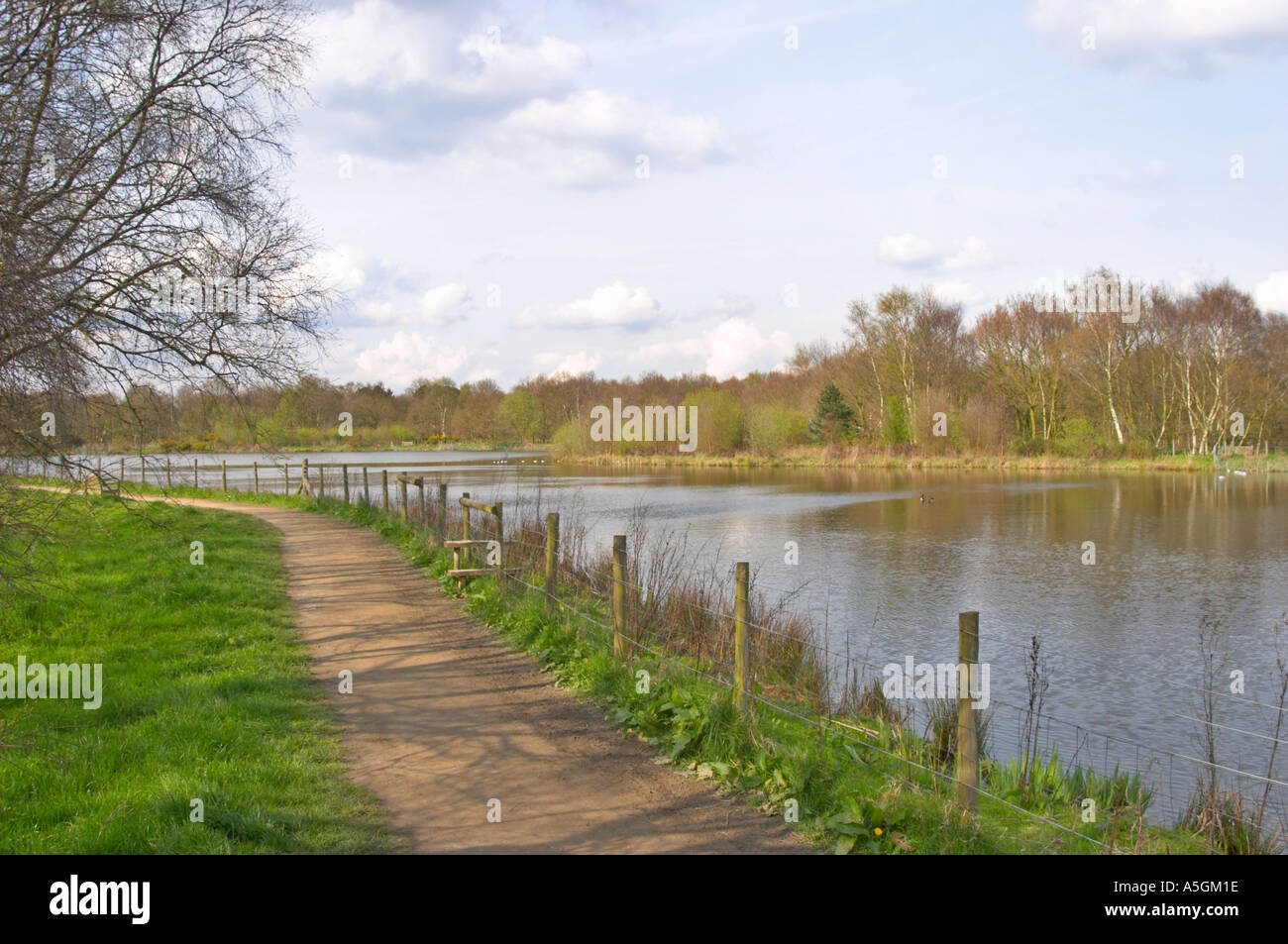 Black Lake Lindow Common Cheshire Stock Photo - Alamy