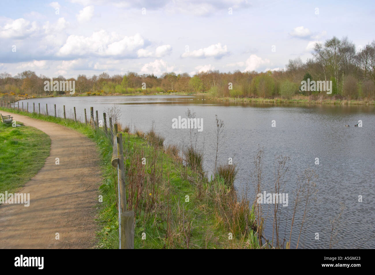 Lindow common hi-res stock photography and images - Alamy