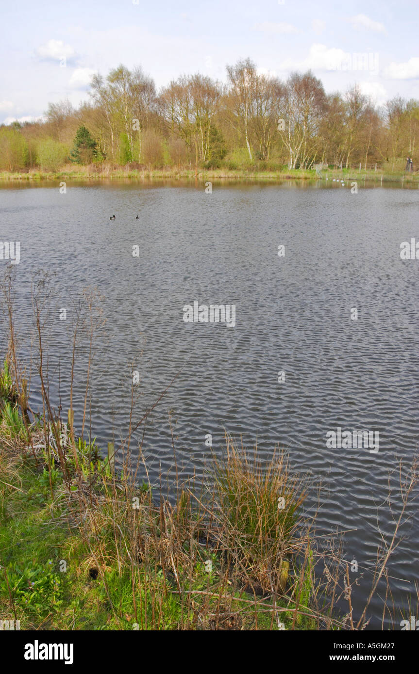 Lake lindow common wilmslow cheshire hi-res stock photography and ...