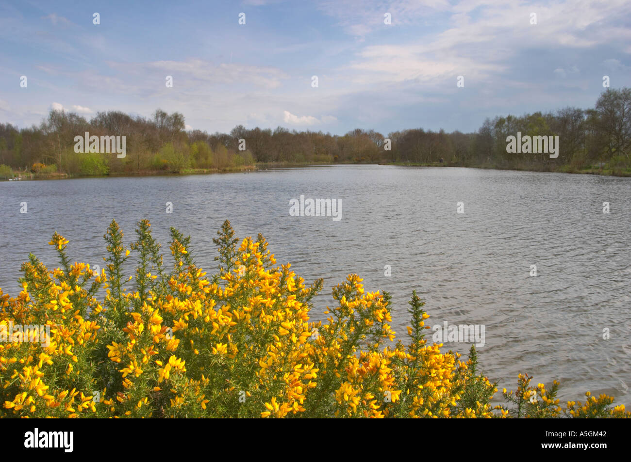 Lindow common hi-res stock photography and images - Alamy
