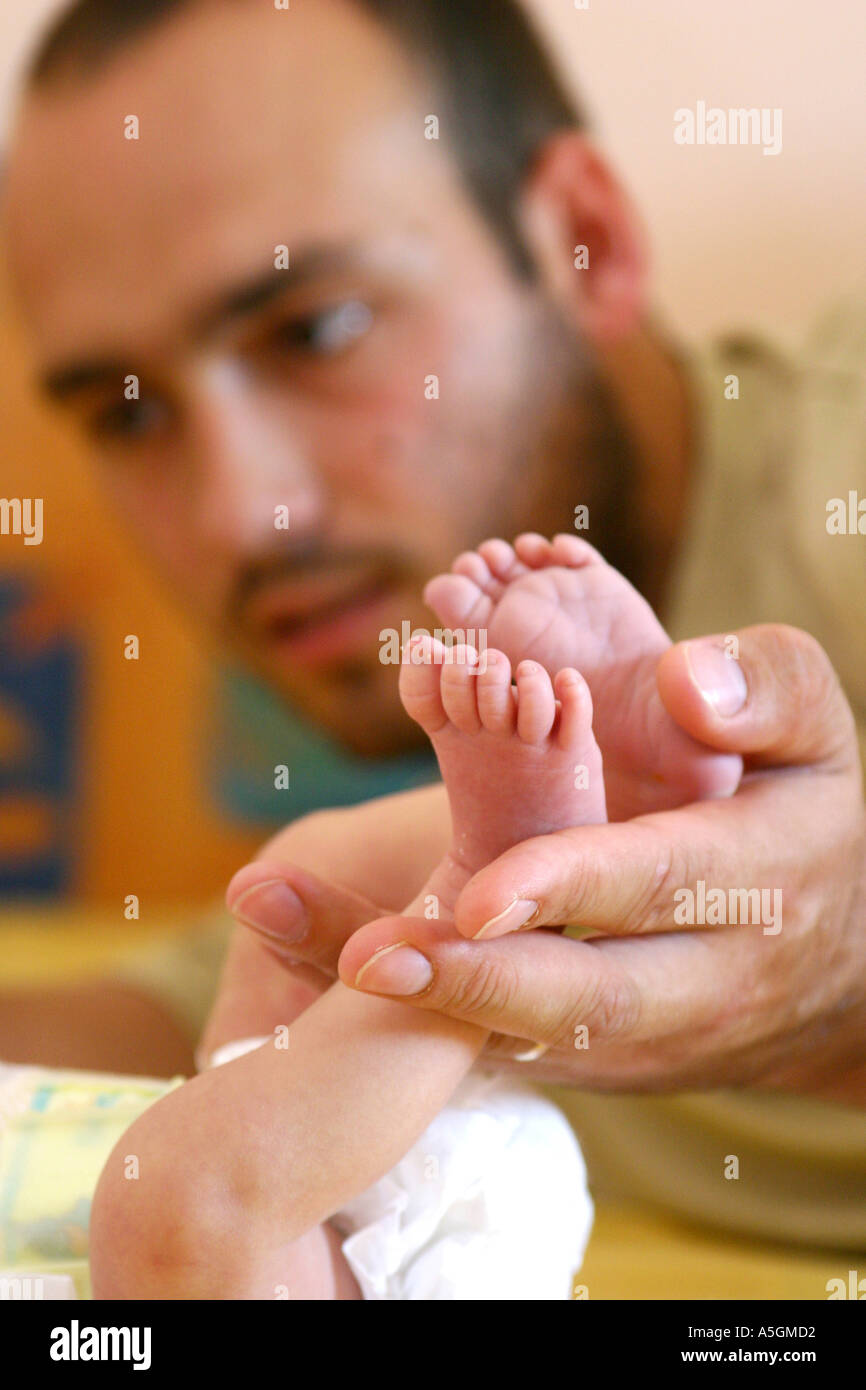 Petiolus hi-res stock photography and images - Alamy