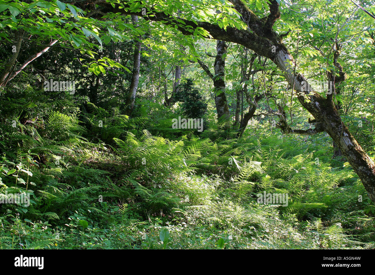 Mountain ranges in turkey hi-res stock photography and images - Alamy