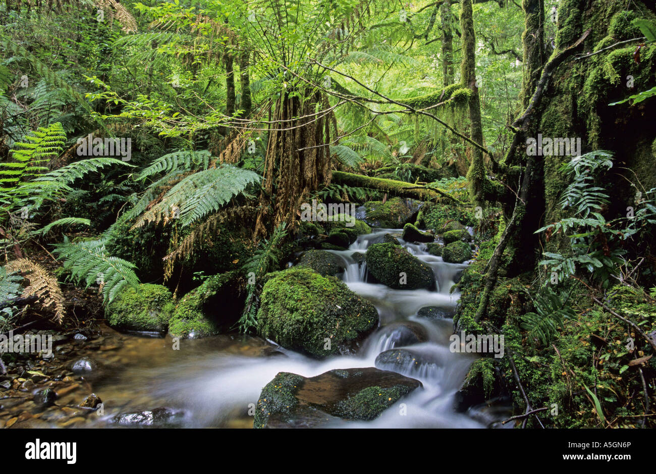 Yarra ranges national park hi-res stock photography and images - Alamy