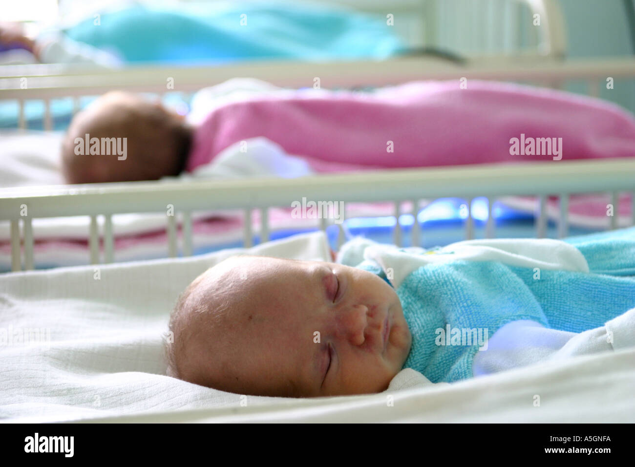 Neonates hi-res stock photography and images - Alamy