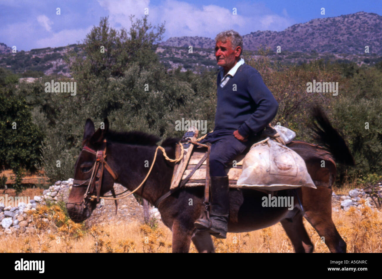 Old greek man farmer hi-res stock photography and images - Alamy