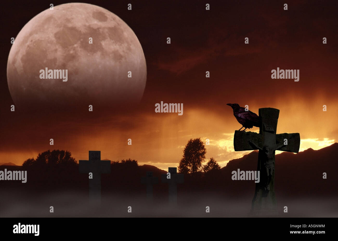 Moon raven hi-res stock photography and images - Alamy