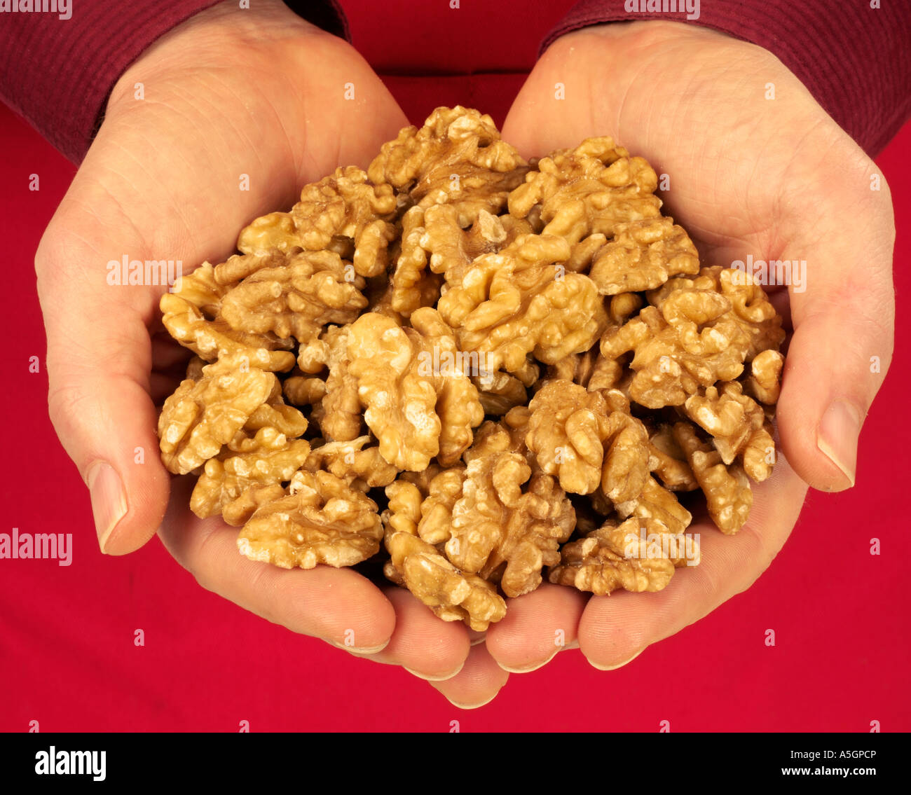 MAN HOLDING WALNUT HALVES Stock Photo - Alamy MAN HOLDING WALNUT HALVES Stock Photo - Alamy