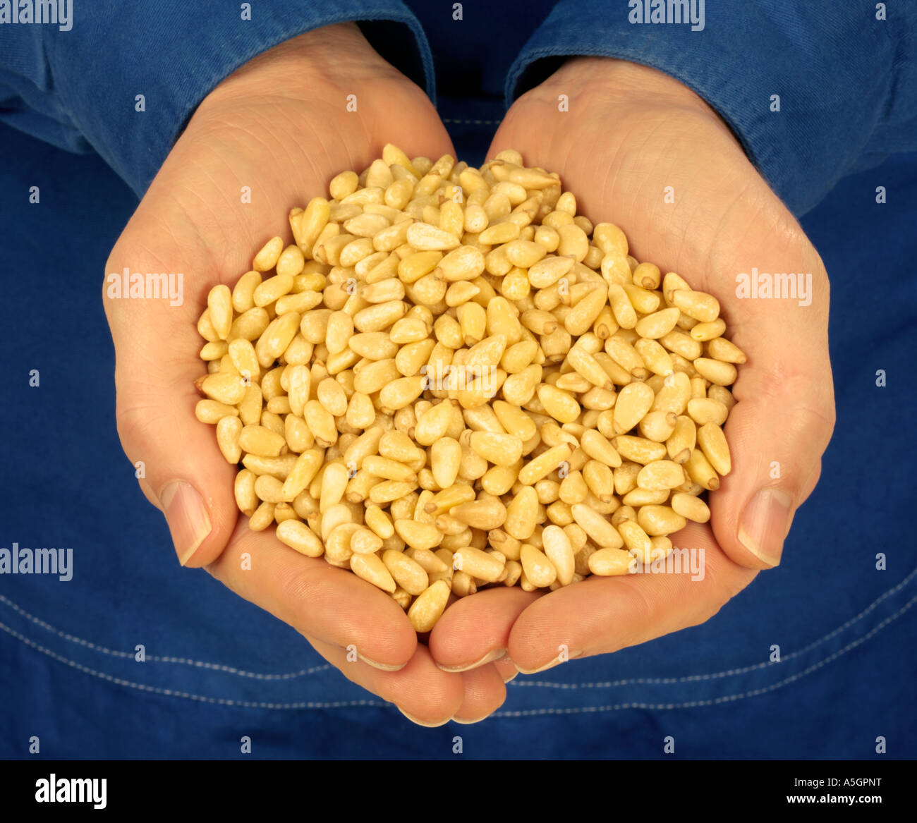 MAN HOLDING PINE NUTS Stock Photo - Alamy