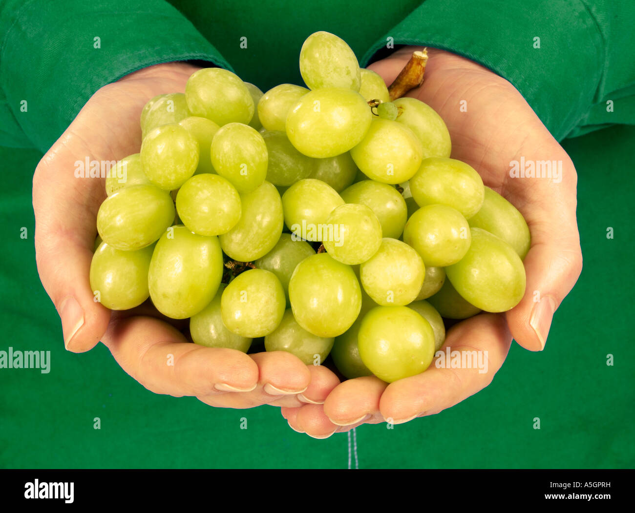 MAN HOLDING BUNCH OF GREEN GRAPES Stock Photo - Alamy