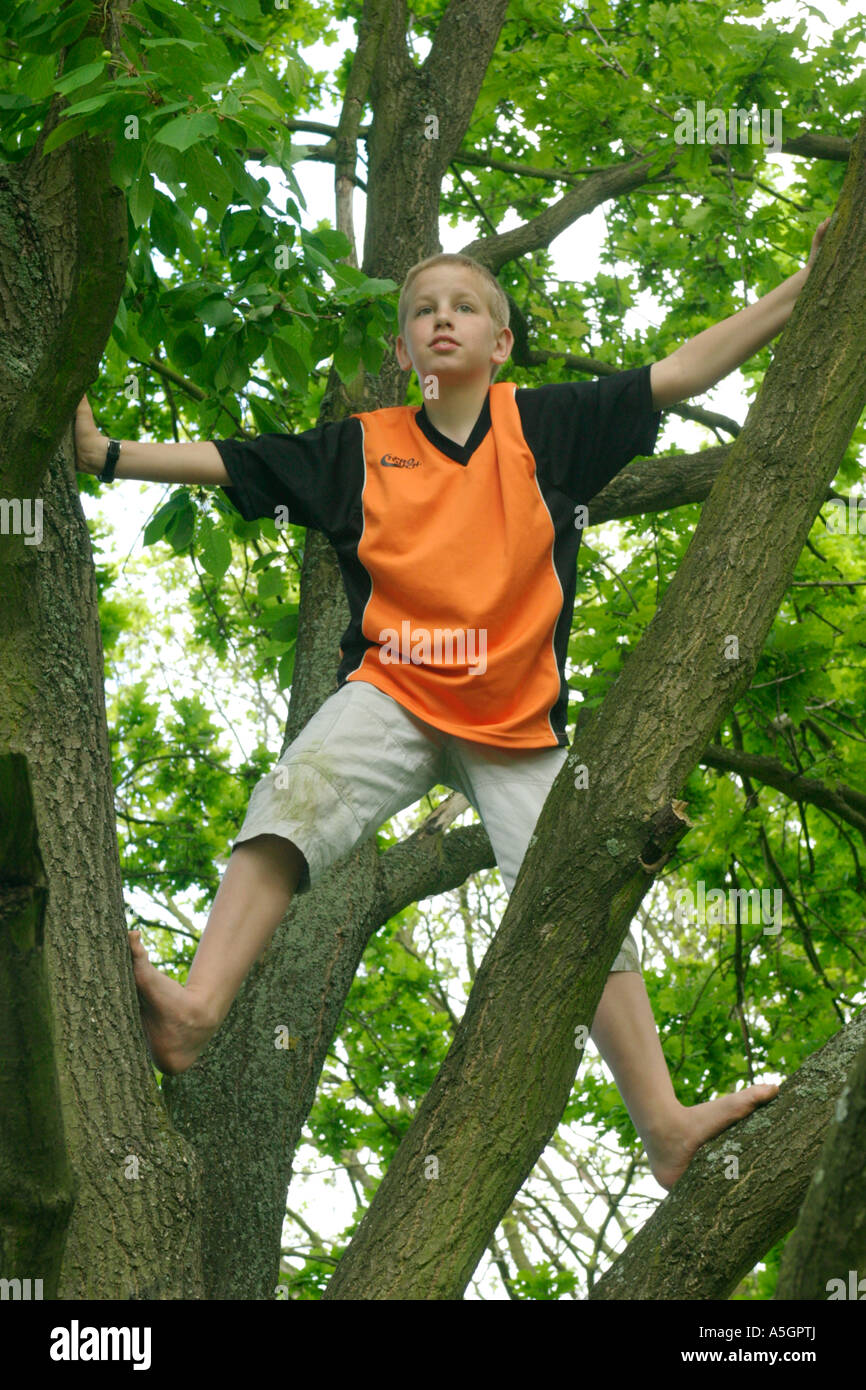 Page 2 - Boy Climbing Tree Barefoot High Resolution Stock Photography ...