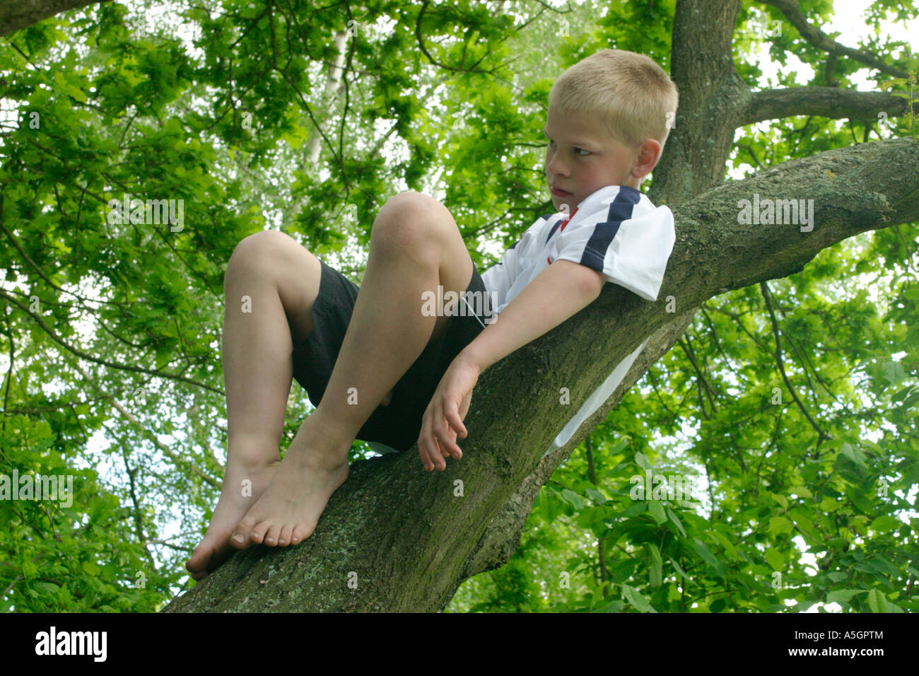 Page 2 - Boy Climbing Tree Barefoot High Resolution Stock Photography ...