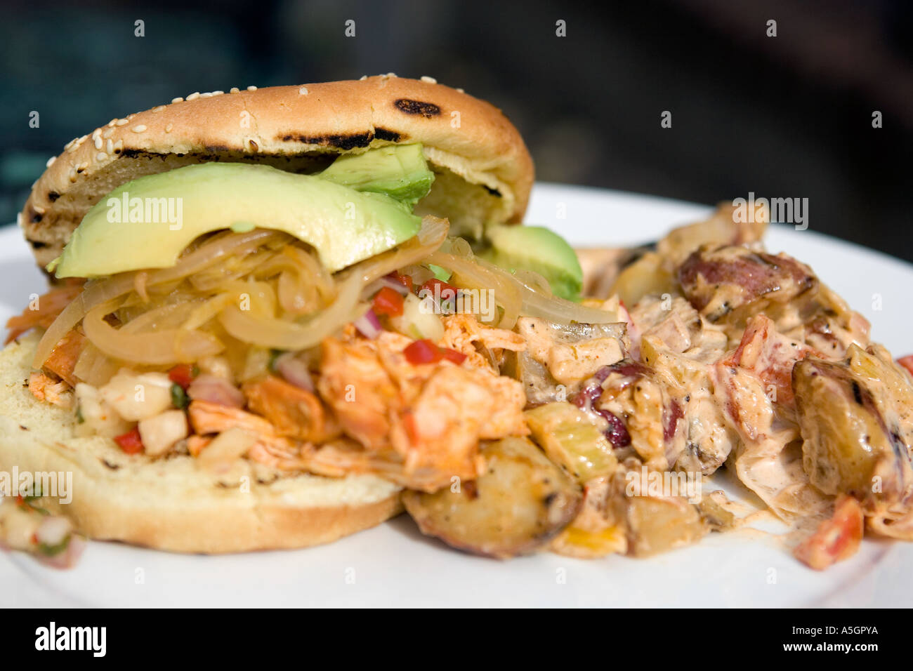 Antelope sandwich served in a downtown restaurant in Santa Fe New ...