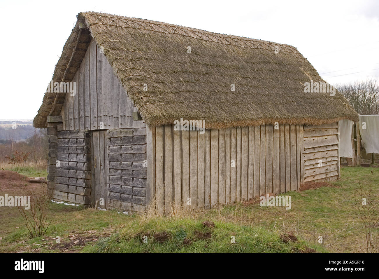 Anglo Saxon house built of timber with thatched roof and mud daub walls ...