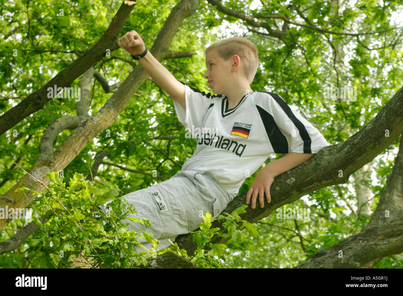 portrait of a young boy sitting in a tree Stock Photo - Alamy