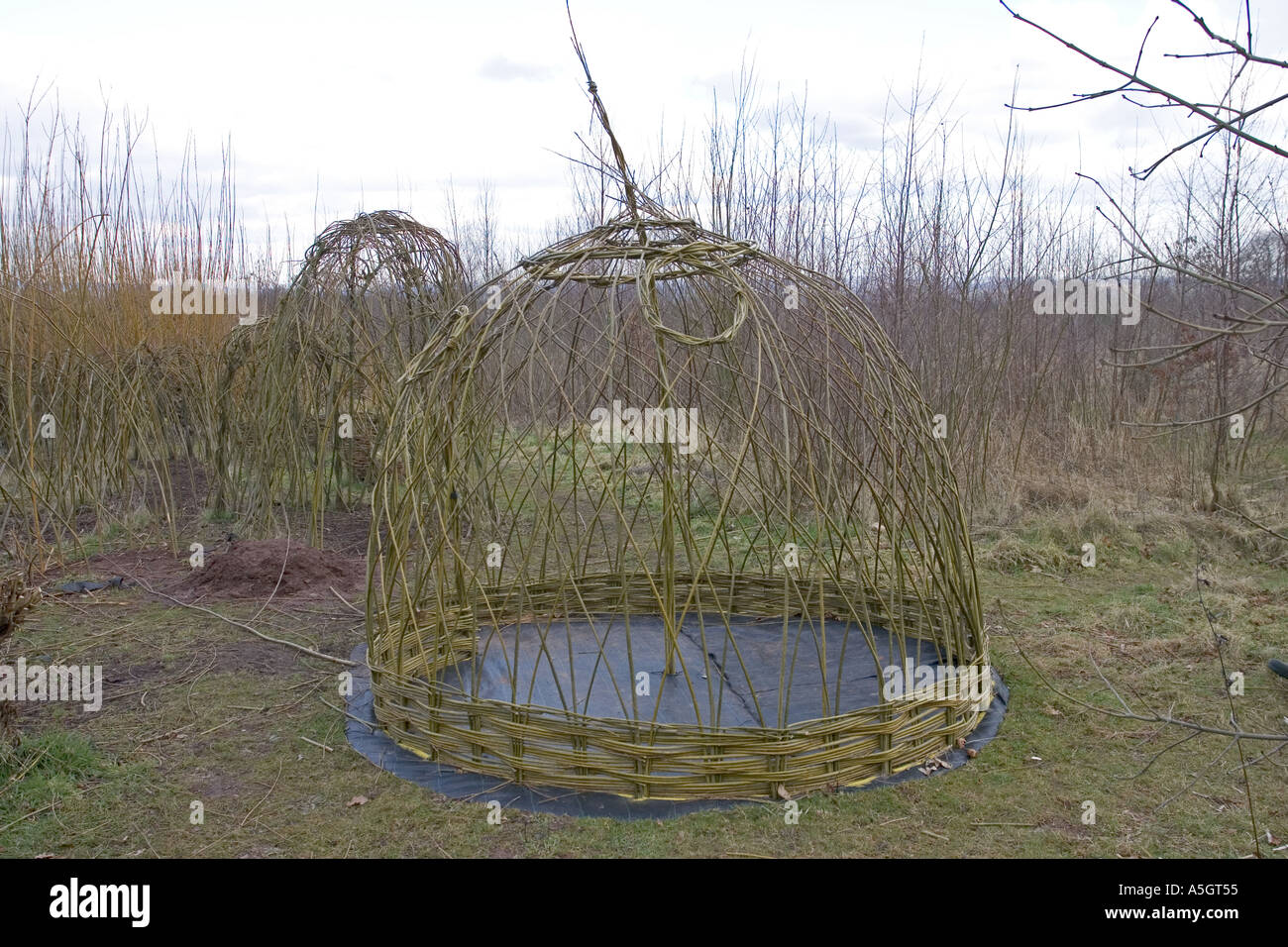 Willow hut hi-res stock photography and images - Alamy