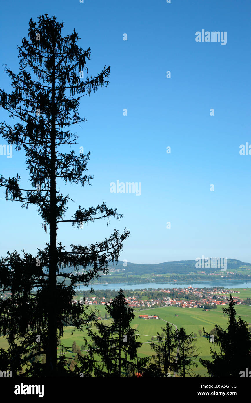 Village schwangau lake forggensee hi-res stock photography and images ...
