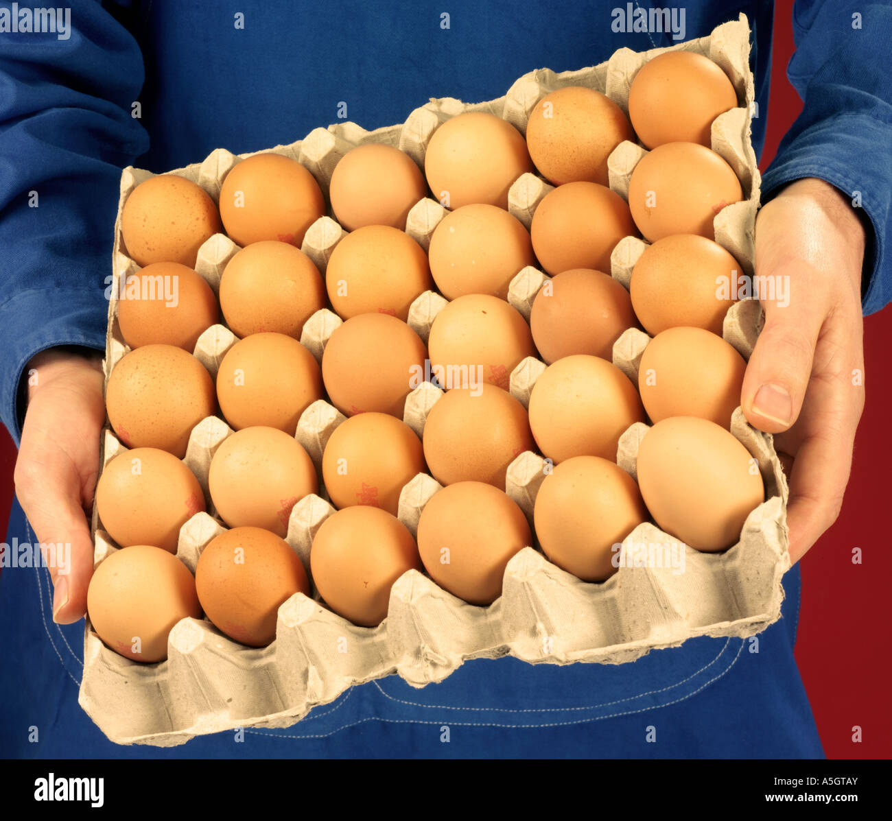 MAN HOLDING TRAY OF EGGS Stock Photo - Alamy