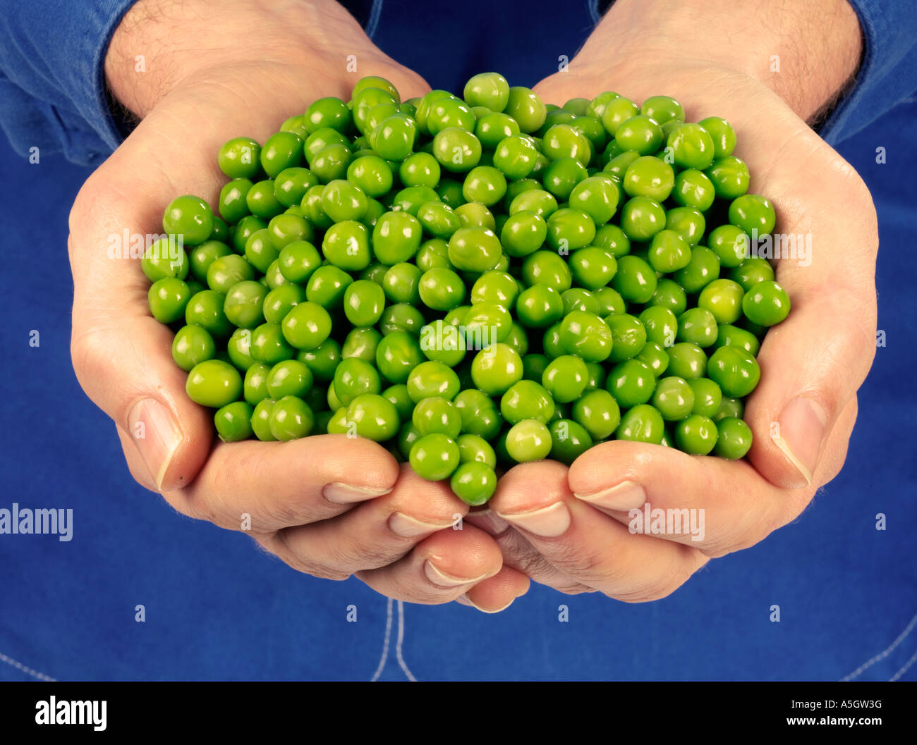 MAN HOLDING PEAS Stock Photo, Royalty Free Image: 11310579 - Alamy