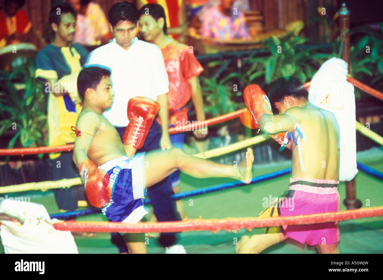 a Thai Boxing performance on Koh Phuket in Thailand Stock Photo - Alamy