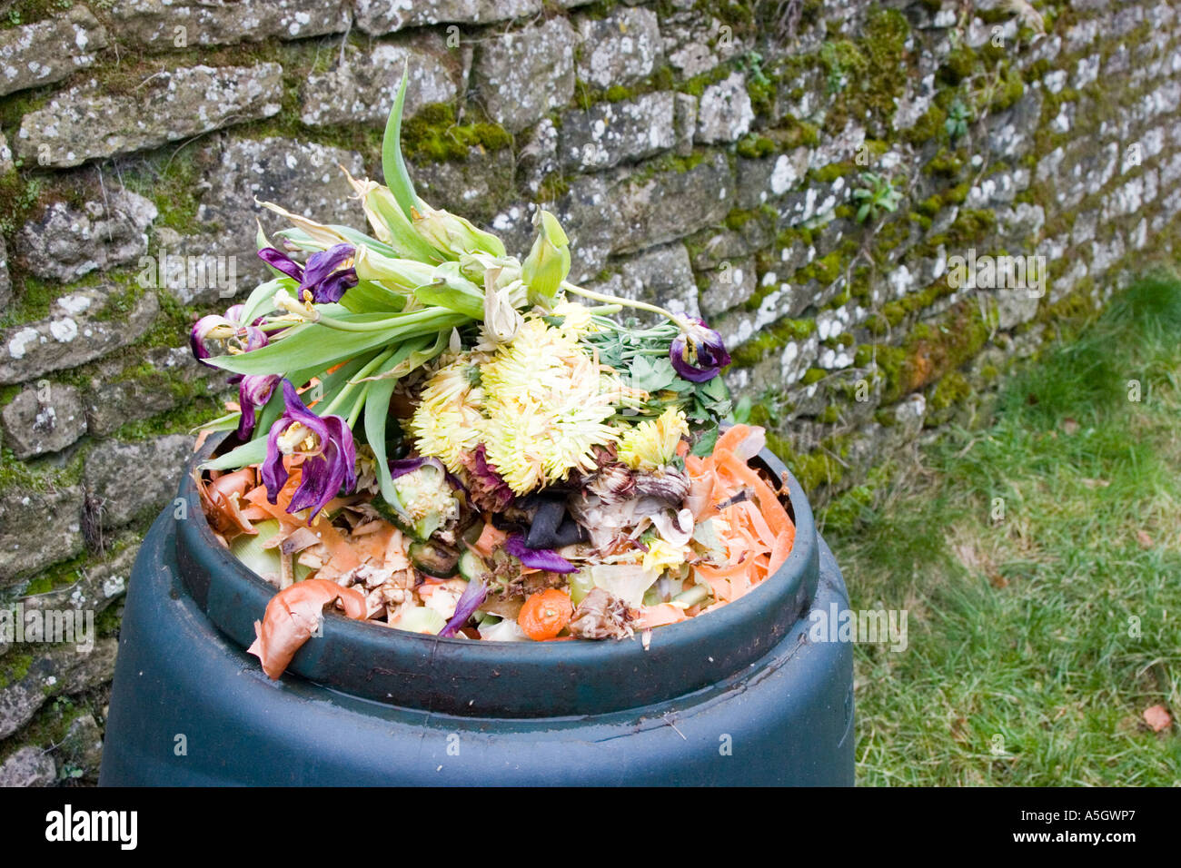 Rotten food maggots hi-res stock photography and images - Alamy