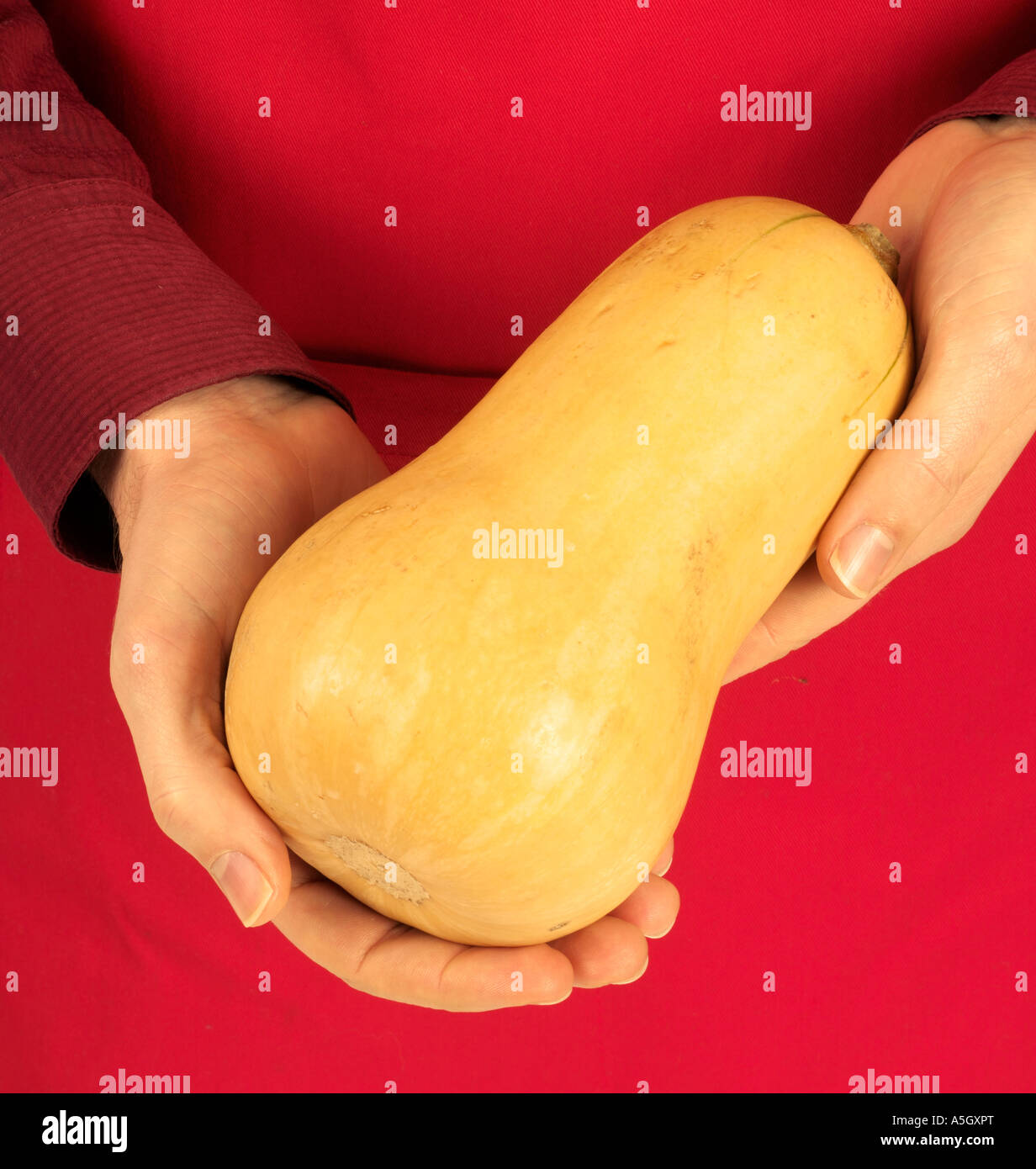 Close up whole butternut hi-res stock photography and images - Alamy